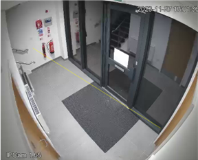 λ | Cortex Analytics – Qvis Support